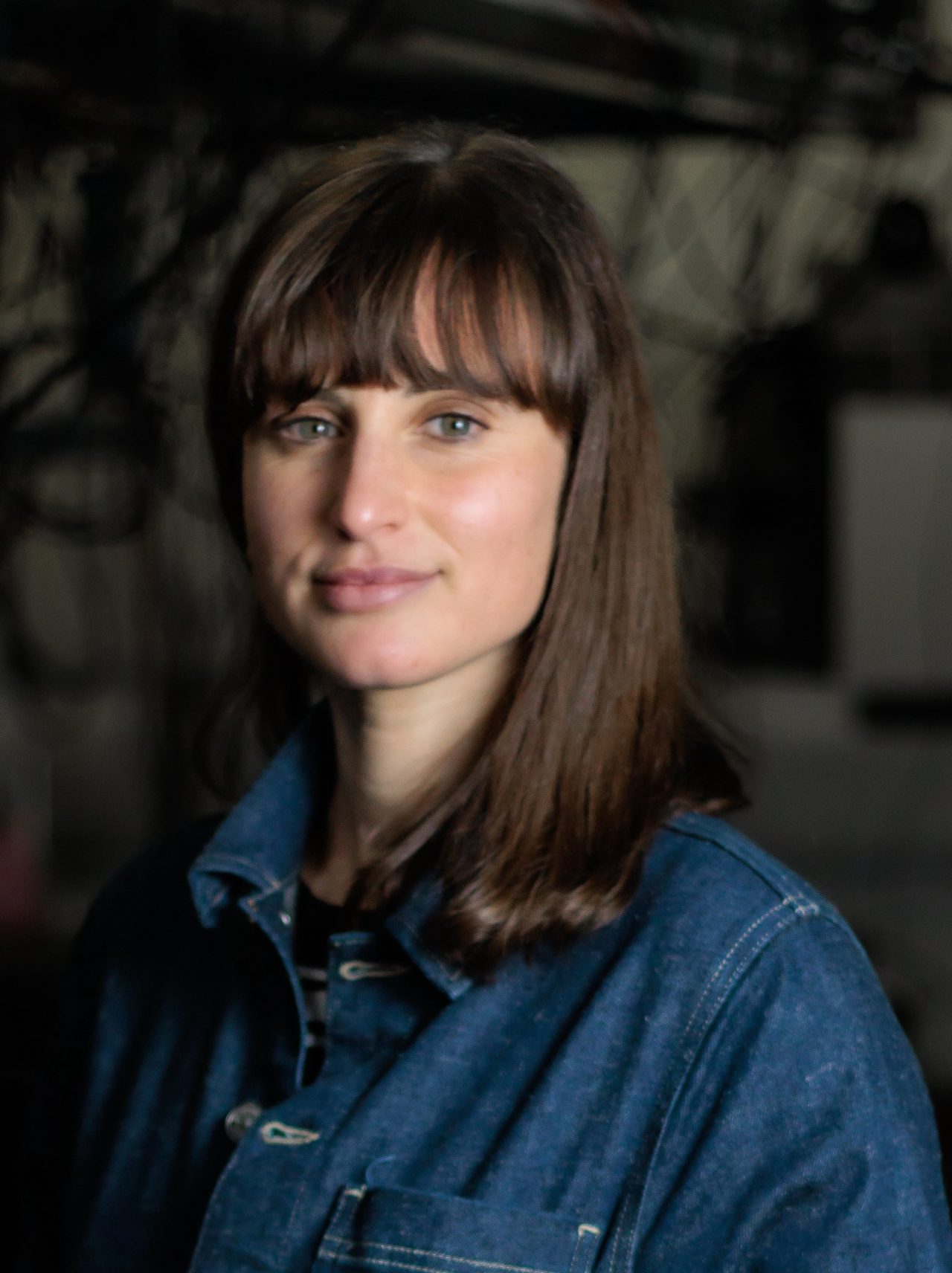 ML4Q Concepts 2D Materials | ML4Q